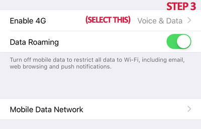 iPhoneでVoLTEを有効にする方法 | トーマスイッチ