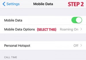 iPhoneでVoLTEを有効にする方法 | トーマスイッチ